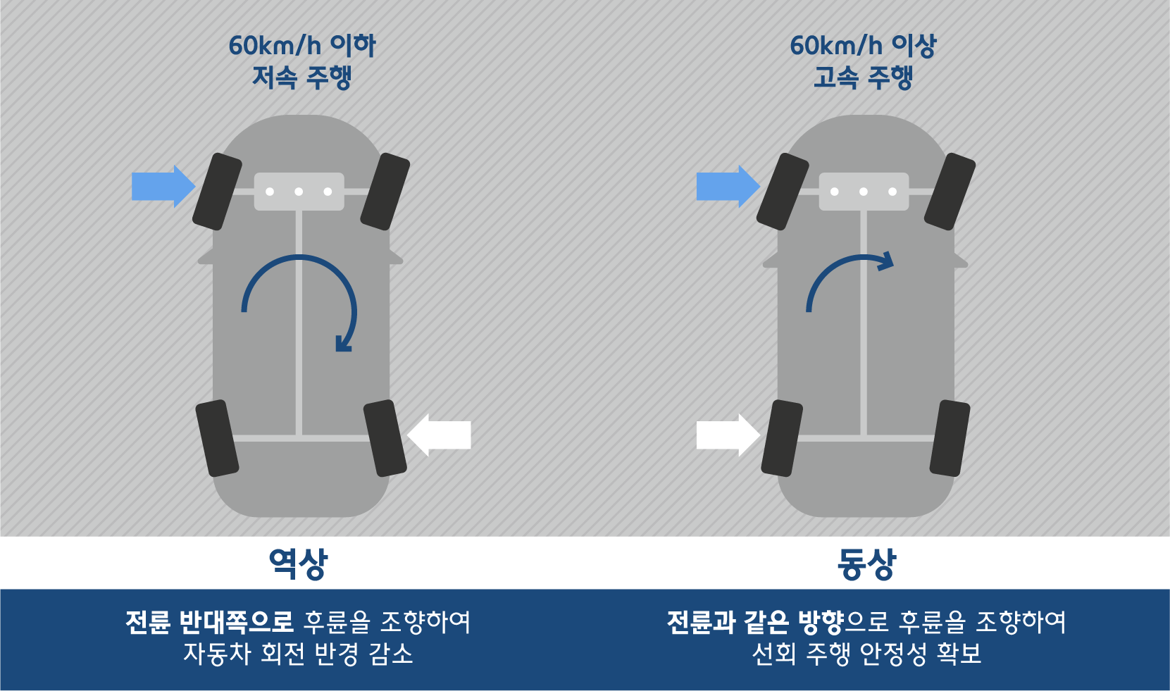 검색결과